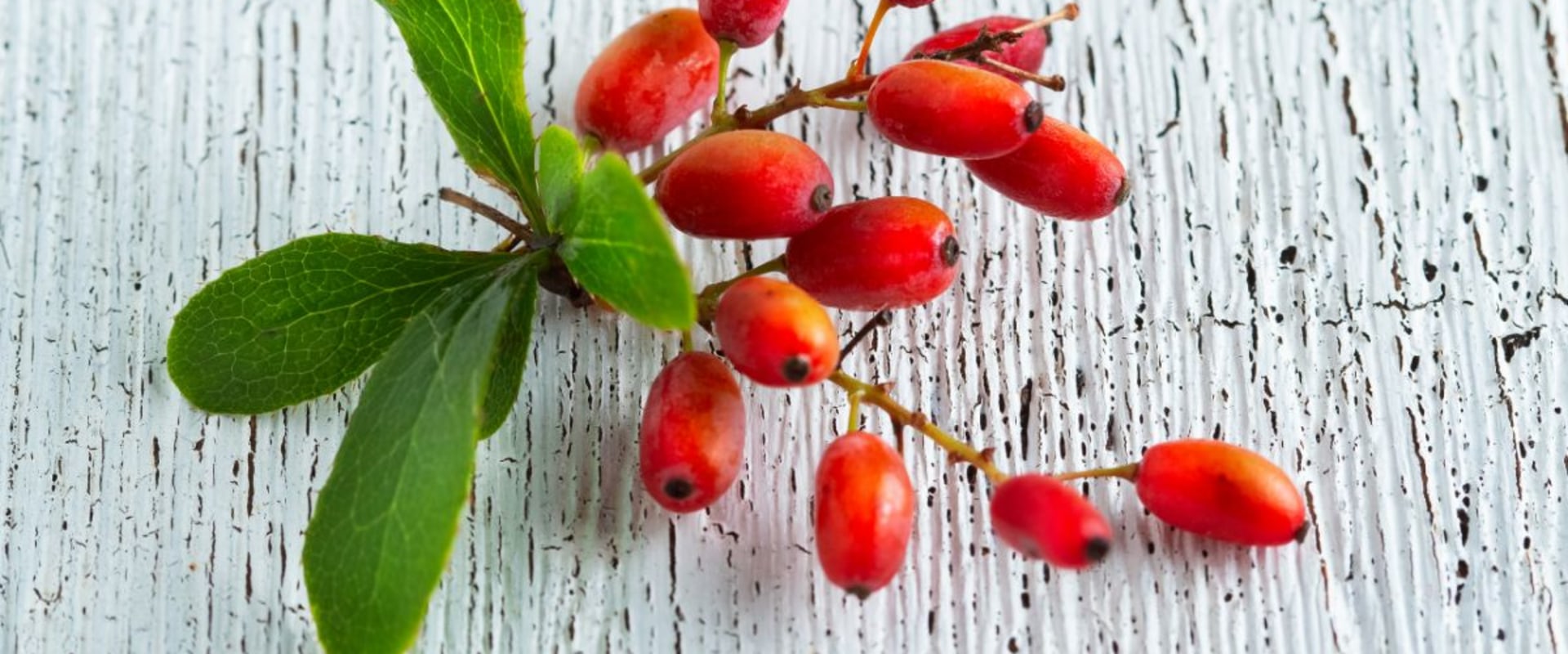The Power of Berberine: How This Natural Compound Works in the Body